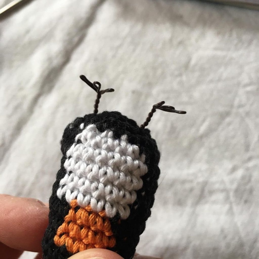 Crochet Black Bird PDF Amigurumi Free Pattern